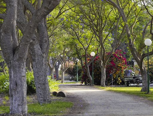 Collective Kibbutz | Visit a Kibbutz in Israel