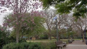 Map of All the Kibbutzim in Israel - Visit a Kibbutz in Israel ...
